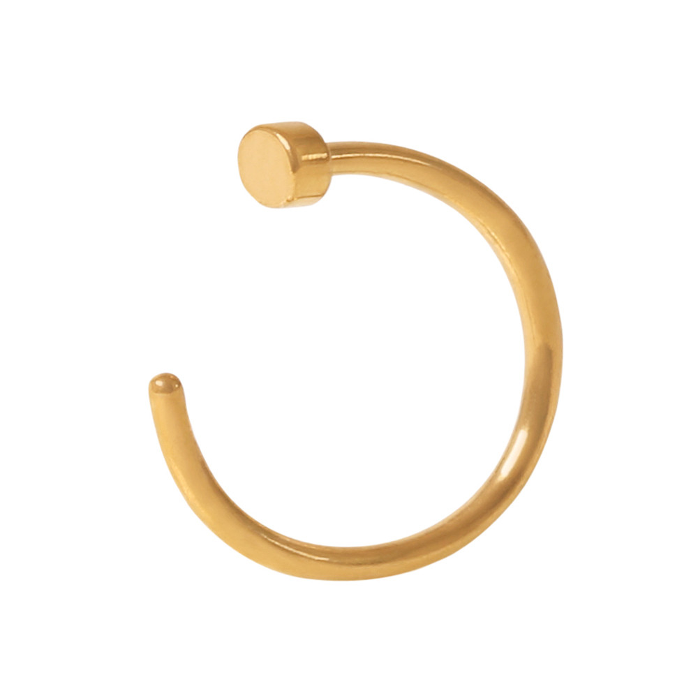 Open Nose Rings (Titanium) | imaxshop.com